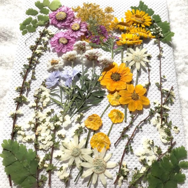 春のお花セット② | ハンドメイドマーケット minne