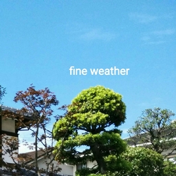 fine weather - 作品一覧 | minne 国内最大級のハンドメイド・手作り通販サイト