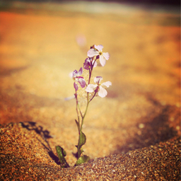 koto-nail - 作品一覧 | minne 国内最大級のハンドメイド・手作り通販サイト